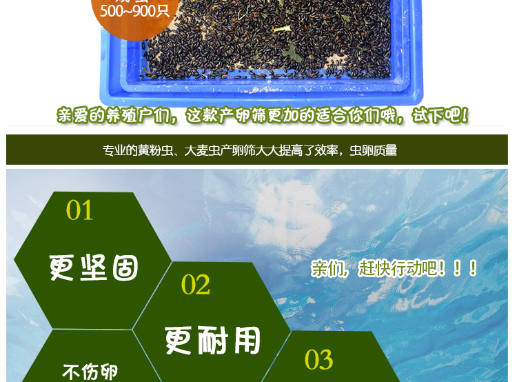 Купить Аксессуары для рептилии Мучные черви откладывают яйца коробка ...