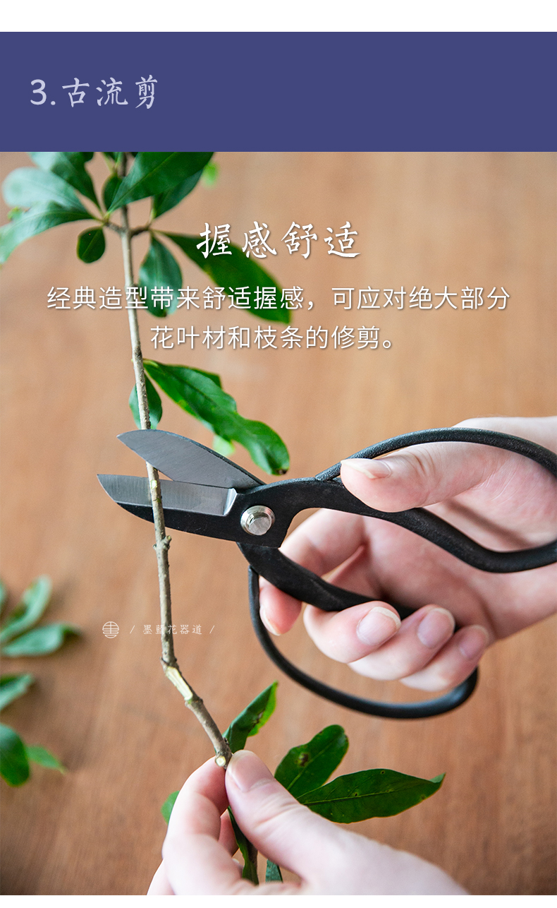 Chifang Cut Flower Arrangement Scissors Japanese Flower Shears Florist Special Gardening ...