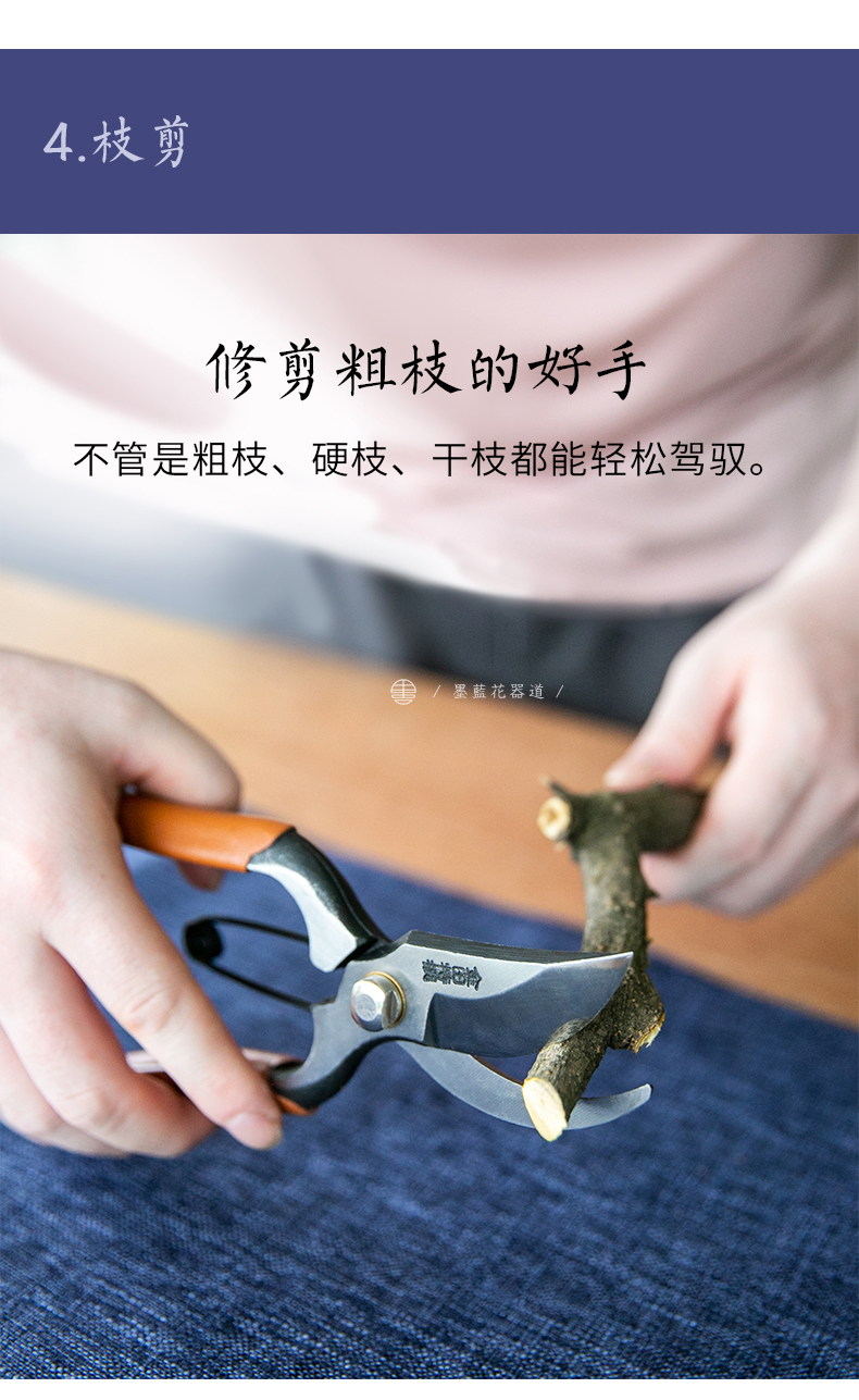 Chifang Cut Flower Arrangement Scissors Japanese Flower Shears Florist Special Gardening ...