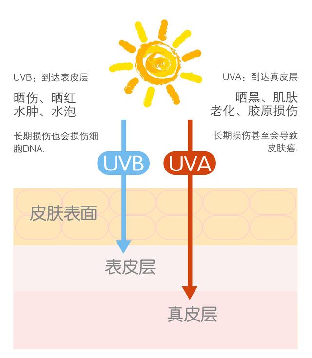 uvb,uva,紫外_大山谷图库