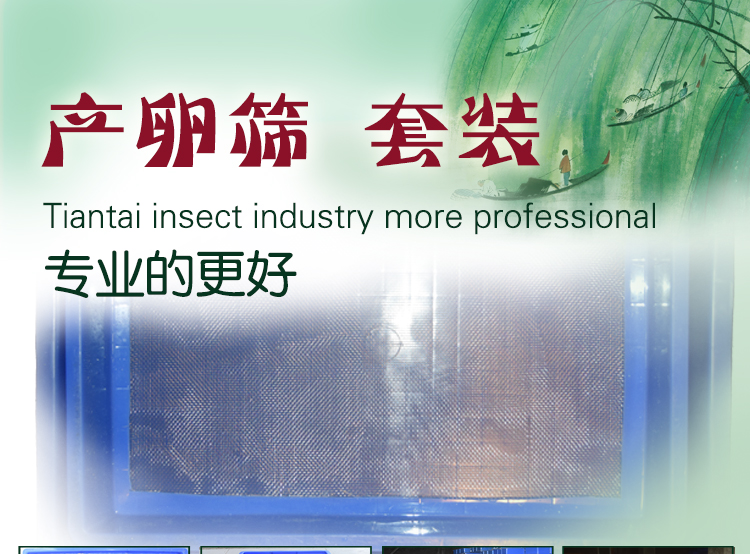 Купить Аксессуары для рептилии Мучные черви откладывают яйца коробка ...