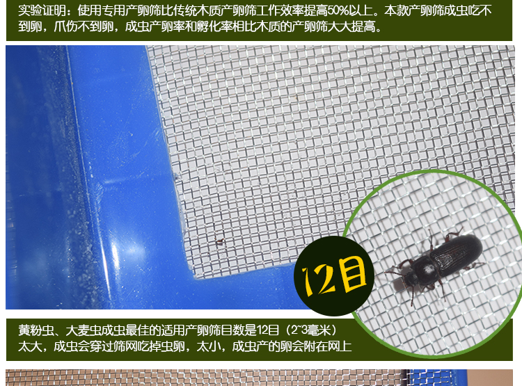 Купить Аксессуары для рептилии Мучные черви откладывают яйца коробка ...