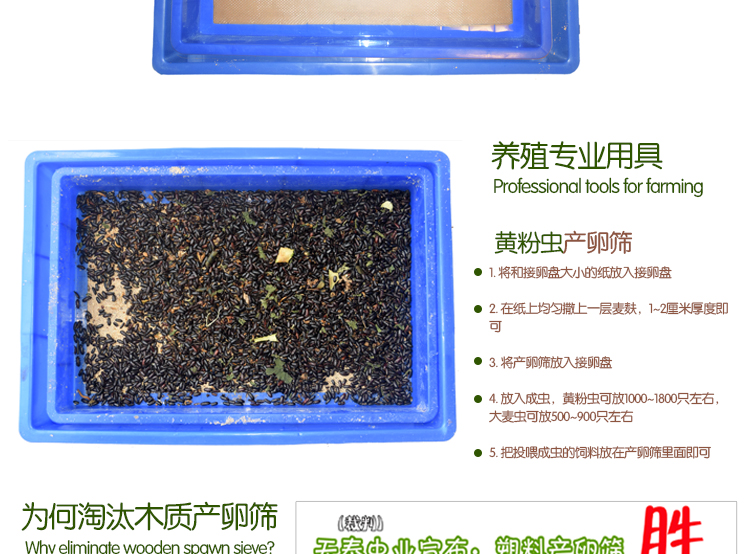 Купить Аксессуары для рептилии Мучные черви откладывают яйца коробка ...