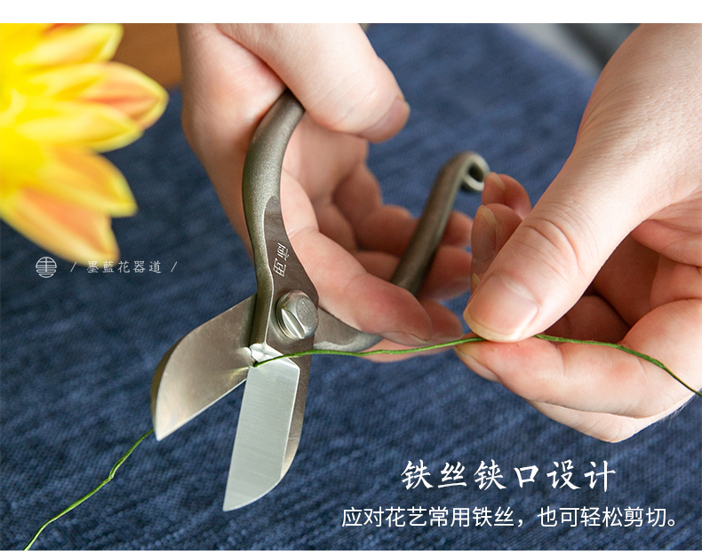 Chifang Cut Flower Arrangement Scissors Japanese Flower Shears Florist Special Gardening ...
