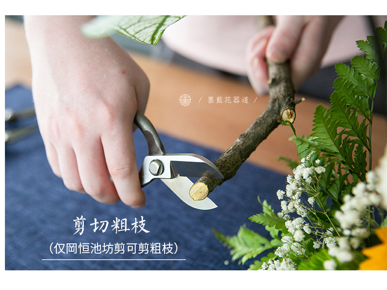 Chifang Cut Flower Arrangement Scissors Japanese Flower Shears Florist Special Gardening ...
