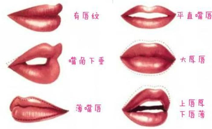 唇形图片大全纸上花冠大山谷图库