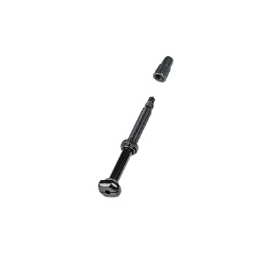 TREK崔克BontragerTLR阀杆气阀