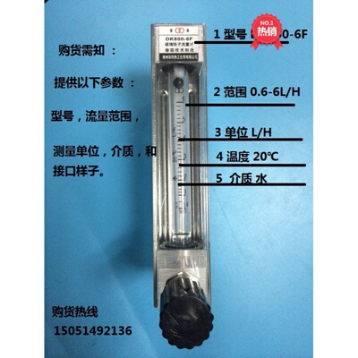 常州双环热工仪表DK800-6  DK800-6F双环牌 玻璃转子流量计