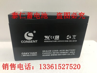 consent 进口蓄电池GS6V10AH 原装进口6V10AH 铅酸免维护蓄电池