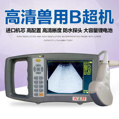 兽用B超机猪羊用b超机彩色大屏幕手提畜牧器械用品b超机高清b超机