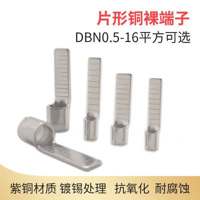 紫铜/国标DBN1.25-10/14/18片形接线裸端子冷压插片2/5.5/8焊口
