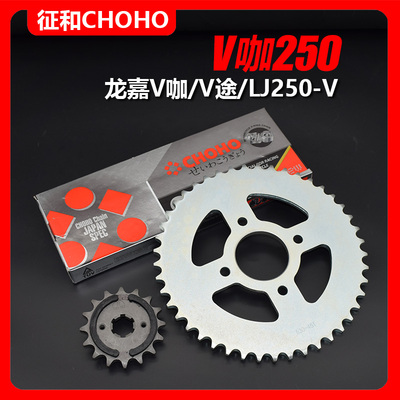 适用龙嘉V咖/V途250大小链轮 复古摩托车LJ250-V牙盘静音油封链条