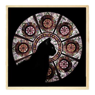 教堂猫拼图Cathedral Cat白卡解压治愈系正版解闷高难度nautilus