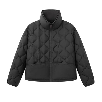 艾诺丝国内代购2025冬季新款宽松立领轻薄款羽绒服外套女AR004002