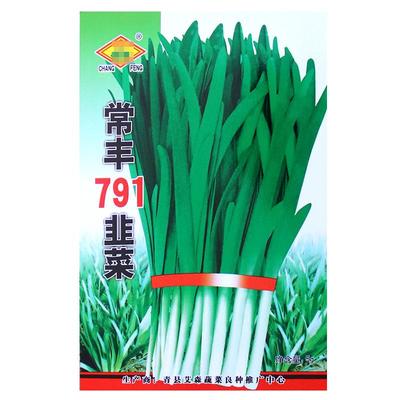 791宽叶雪种子冬季休眠春秋韭菜
