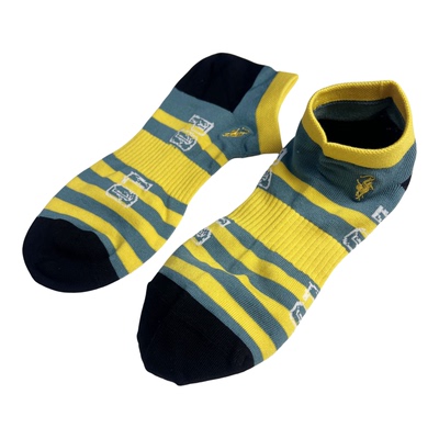 POLO春夏多巴胺运动跑步男士短袜