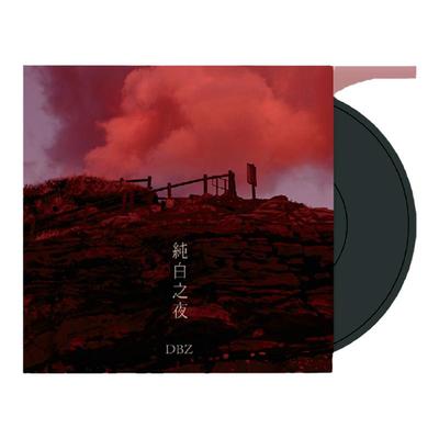 TinyLDBZ迷你3寸黑胶唱片