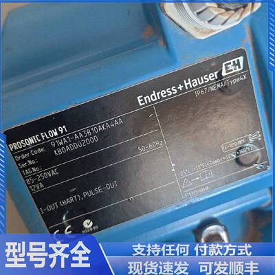 议价可维修EndressHauser恩德斯豪斯流量计型号PROSONICFLOWWAAAB
