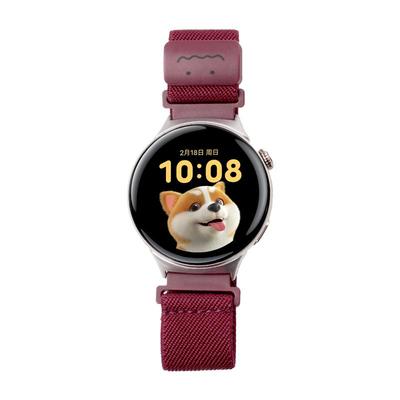 斐科适用于vivowatch5/3编织表带
