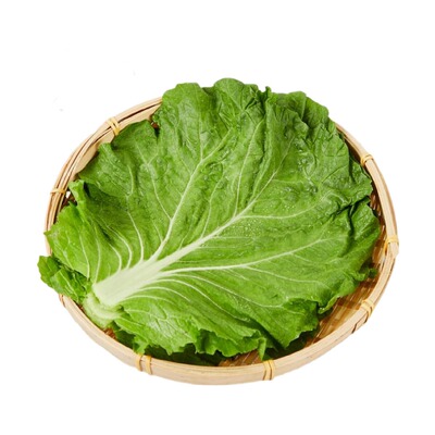 打包饭菜叶东北大白菜叶新鲜
