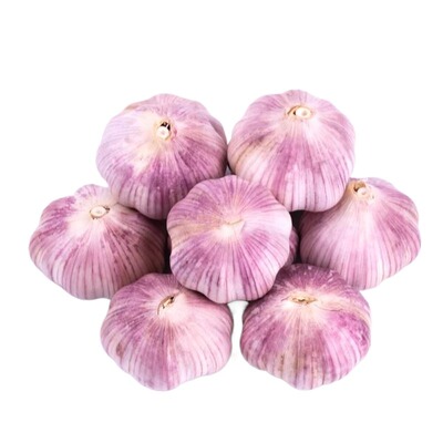 2026年金乡新干蒜大蒜头干大蒜