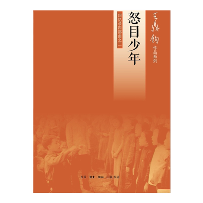 怒目少年（回忆录四部曲之二