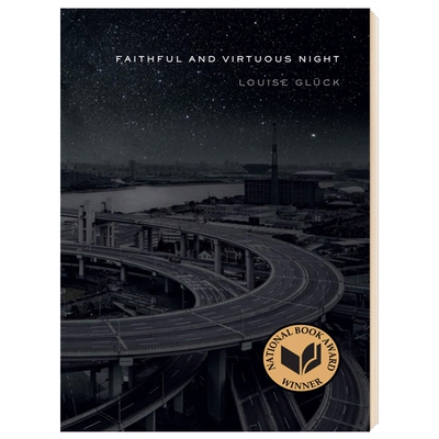 忠诚与善良之夜诗歌集英文原版