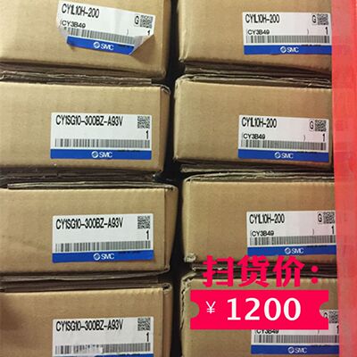 议价原装SMC无杆气缸CY1L10H-200 CY1SG10-300BZ-A93V CDPXWM20-1