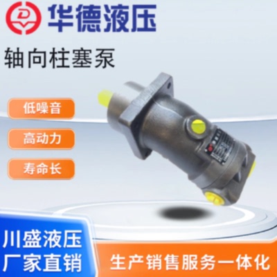 议价华德液压泵A2F28R3P4 A2FK05R4P4 A2FK6R3P4 A2FK12R3P4A2F10