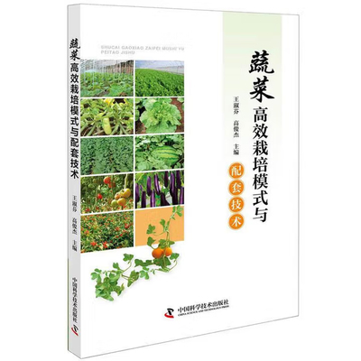 蔬菜高效栽培模式与配套技术 农业图书农业科技新农业三农图书农业农场管理技术指导