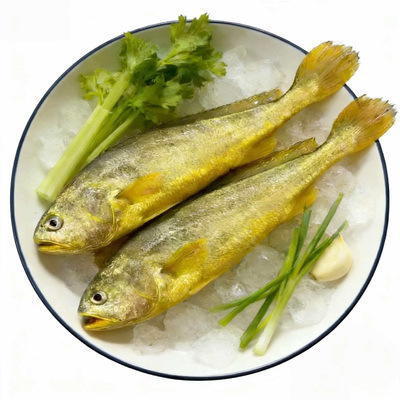 厦门新鲜小黄鱼一斤2只当天捕捞小黄鱼黄花鱼黄瓜鱼梅鱼海鲜水产