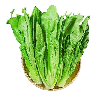 云南现摘新鲜油麦菜5斤包邮