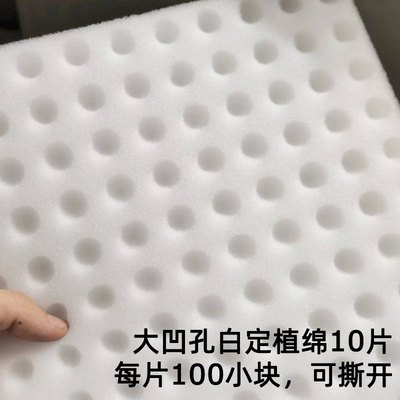 大棚基地学校无土栽培凹孔定植绵育苗种植海绵水培生菜草莓种菜棉