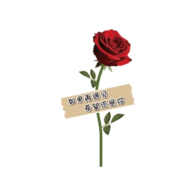 网红打卡拍照花墙背景墙贴