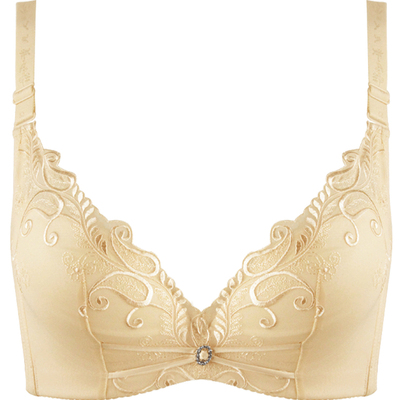 商场同款贵夫人上托提胸内衣