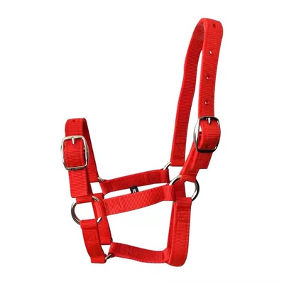 迪凯侬新款马具牵引马龙头