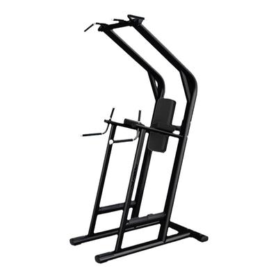 LifeFitness提腿腹肌组合练习器