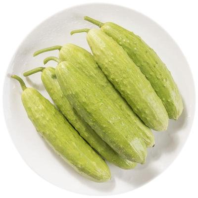 海阳新鲜水果海阳新鲜水果现摘