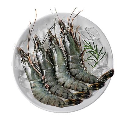 巨型黑虎虾新鲜海鲜水产