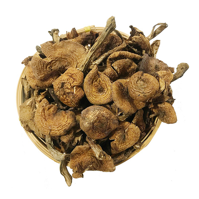 东北农家野生榛蘑干货250g包邮