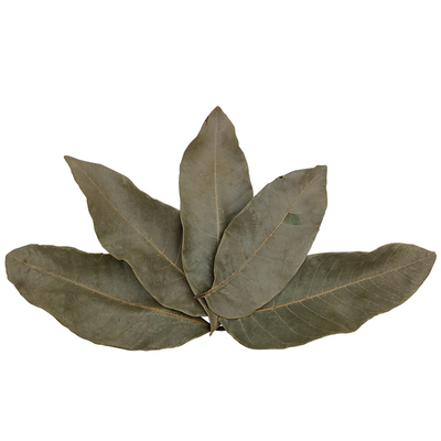 免煮乌龟龙眼叶腐皮烂甲躲避龟