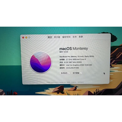 询价-11台同一型号配置的2015年款macbookproa150可维修