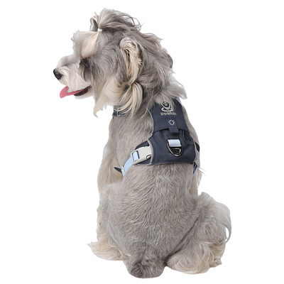 狗狗牵引绳胸背带高颜值不勒脖子