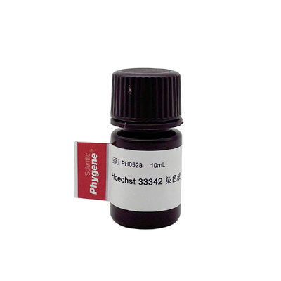 Hoechst33342染色液