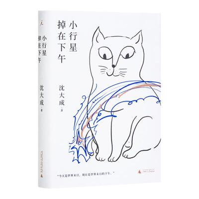 小行星掉在下午首届宝珀理想国文学奖决选作者 畅销书作家沈大成小说集 给沈大成6分钟，她给你一场颅内反乌托邦式冒险 理想国图书