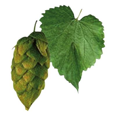 佩乐珍珠perle新鲜啤酒花