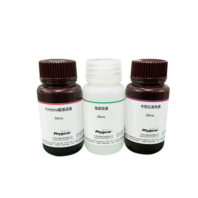 Masson-Fontana黑色素染色液