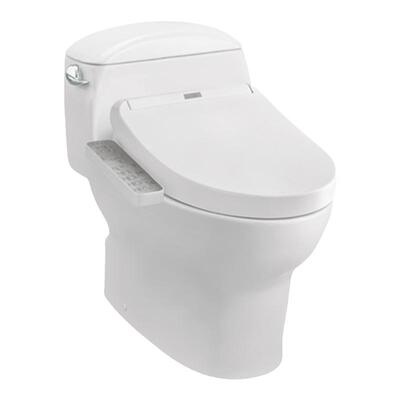 TOTO官方安装智能马桶CW988+460