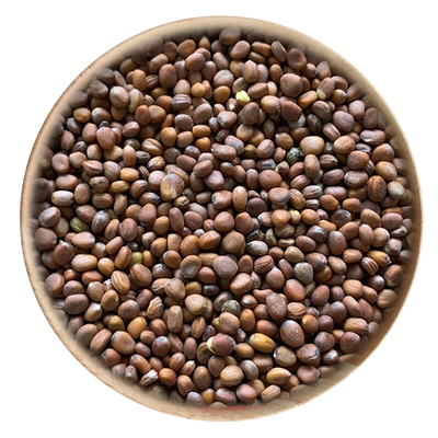 50g莱菔子可打粉满包邮