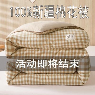 水洗全棉被子新疆纯棉花被冬季冬被芯加厚保暖单双人春秋四季通用